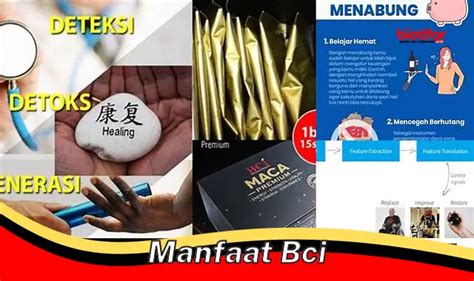 Temukan Manfaat Bci Yang Jarang Diketahui Untuk Kehidupan Anda Biotifor