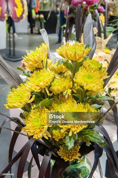 황록색 큰 국화의 꽃다발입니다 식물과 꽃으로 건물 장식 0명에 대한 스톡 사진 및 기타 이미지 0명 가을 계절 Istock