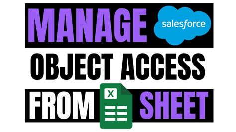 mass update salesforce object access permissions using excel