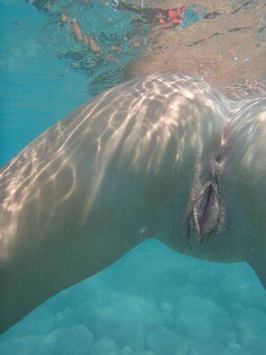 The Treasures Of The Sea Porn Pic