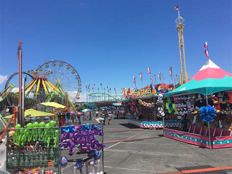 San Mateo County Fair 2025 Tessa Chapman