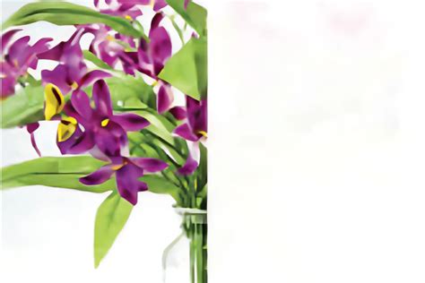 White Light Diffuser Distinctive Specialties Window Film Dallas