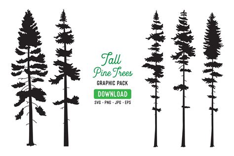 Tall Pine Tree Vector Graphic Bundle Graphic By The Gradient Fox