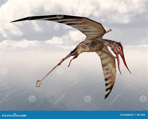 Pterosaur Rhamphorhynchus Stock Illustration Illustration Of Pterosaur