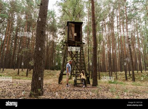 Girl Climbing Ladder Of Hunting Blind In Forest Stock Photo Alamy