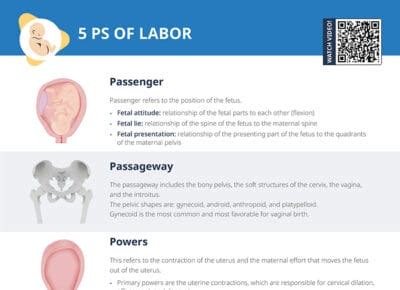 5 Ps Of Labor Free Cheat Sheets Lecturio Nursing