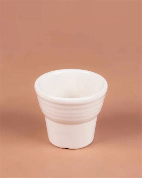 Glass Pot Fresh Indoor Plants For Home And Office Live Plant Delivery
