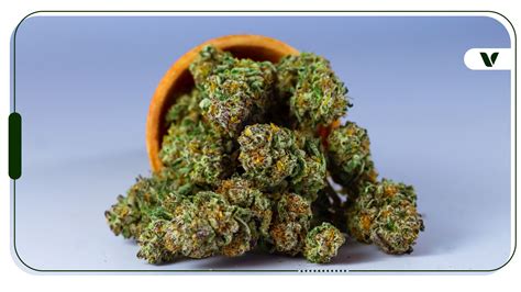 What Are Minor Cannabinoids Benefits And Usescannabis Central