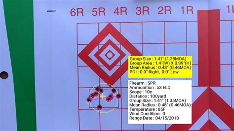 Accuracy Profile Ballistic Advantage 16 Inch Spr The New Rifleman