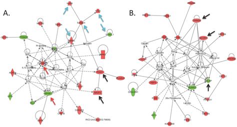Genetic Network Analysis Of Brain Gene Expression Correlating With