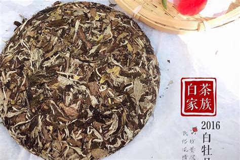 秋冬季节喝白茶到底好不好？最后一个回答深入人心！