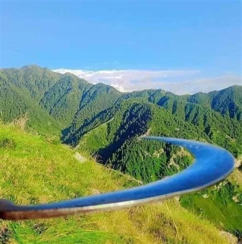 محمد سعید گجر پردیسی تورغر