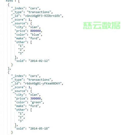 Elasticsearch 模糊查询 技术分享 云服务器