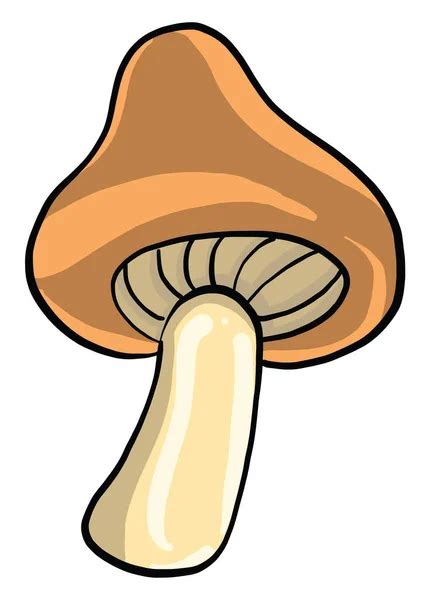 Yellow Mushroom Illustration Vector White Background Stock Vector By