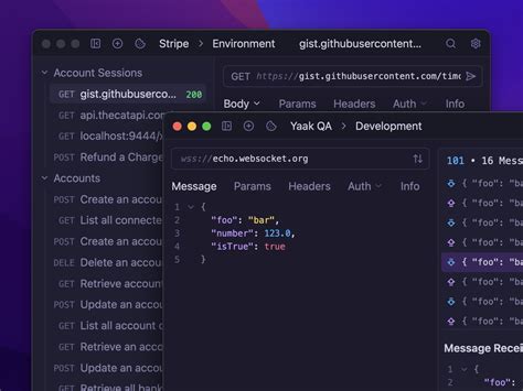 Yaak The Postman Alternative For Modern Developers
