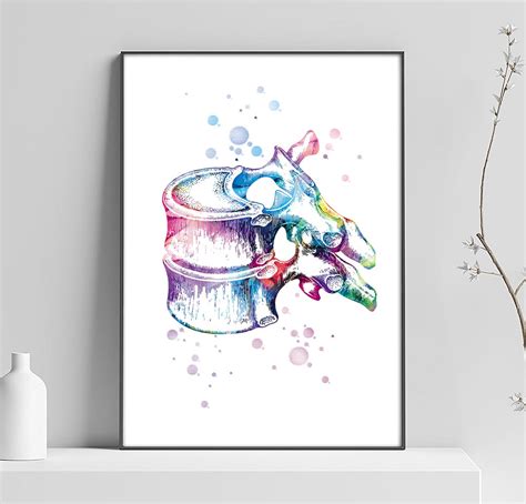 Vertebrae Diagram Poster Spine Clinical Physiotherapist Doctor