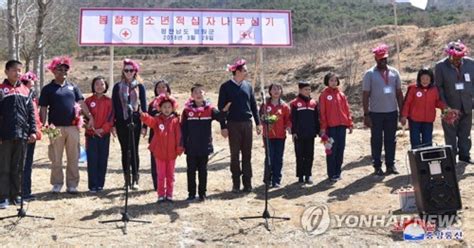 북한 청소년 적십자 나무심기 행사