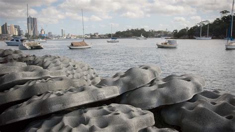 Innovative Marine Science Hub Receives Funding Of 4 5 Million Inside