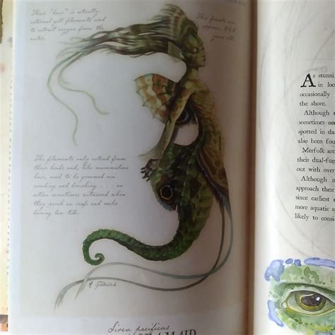 Arthur Spiderwicks Field Guide To The Fantastical World Around You