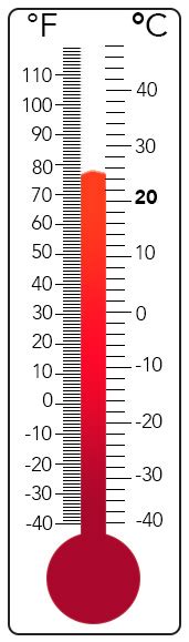 Tropical Rainforest Temperature Graph