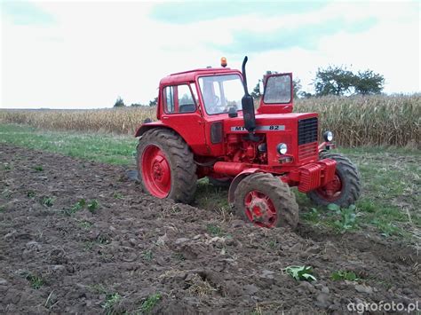 Zdjęcie ciagnik MTZ 82 461969 Galeria rolnicza agrofoto