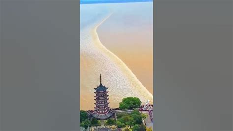 사랑이비를 맞아요 ~ 황홀한영상 힐링하세요😎ㅎ Youtube