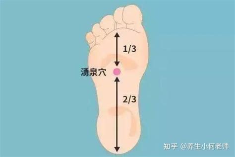 艾灸四个穴，拯救多年老失眠~ 知乎