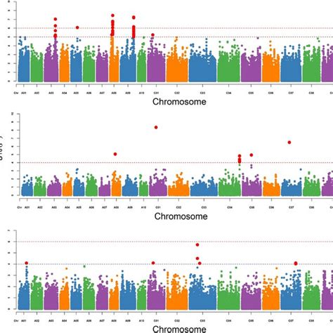 Heatmap Of A Genomic Relationship Matrix Constructed Using 24 Plant