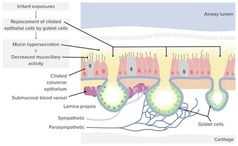 Rinitis Concise Medical Knowledge