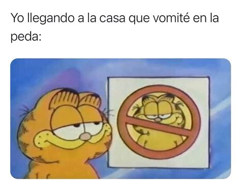 Yo llegando a la casa que vomité en la peda Memes