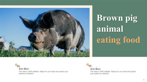 Pig Images Animal Powerpoint Ppt Template Bundles Ppt Example