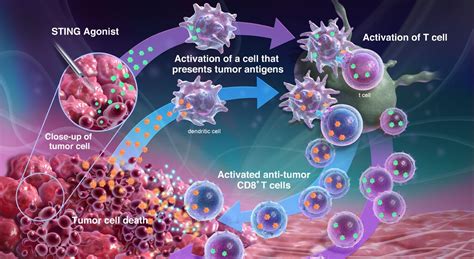 Exploring Autoimmune Polyglandular Syndrome Type 1 On A Global Scale
