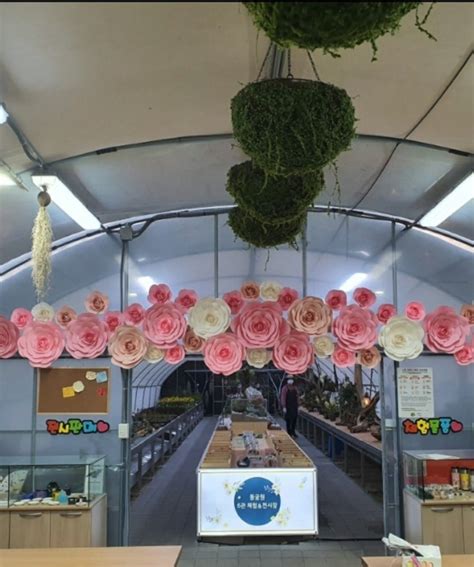 수원공방큰꽃paperflower경주동궁원빅플라워종이꽃주문제작페이퍼플라워식물원 네이버 블로그