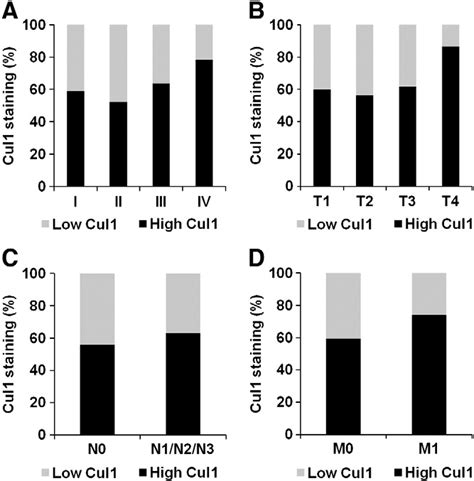 Correlation Between Cul1 Expression And Clinicopathologic Parameters In