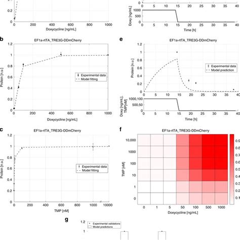 steady state dynamic response and dynamic range of the dual input