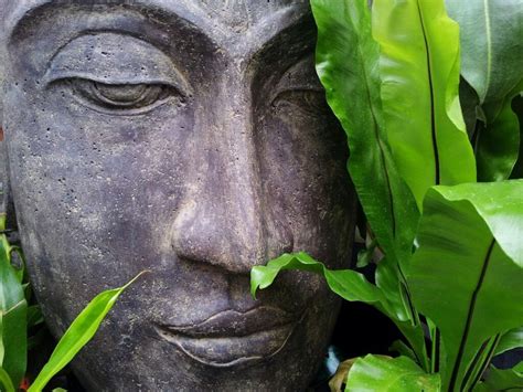 Spiritual veganism: Do religion and plant-based lifestyles go hand-in ...