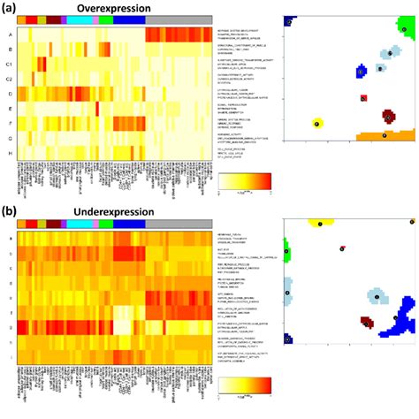 Figure S 8 Overrepresentation Analysis Of Overexpression Panel A And Download Scientific