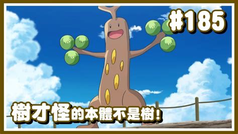 寶可夢 185 樹才怪的本體不是樹而是岩石Poke夢 YouTube