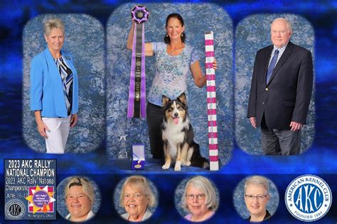 Akc Points Schedule 2024 Silva Lorilee