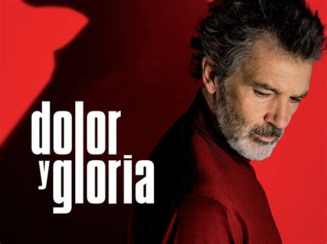 Dolor y Gloria Convivir con el dolor Instituto de Ética Clínica