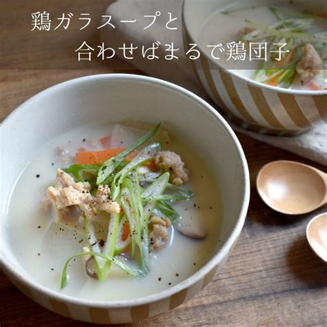 大豆ミート 【120g×2袋】【お得な2袋セット】【乾燥・ミートボールタイプ】 コレステロールフリー 大豆ミンチ 大豆 ミート ダイエット