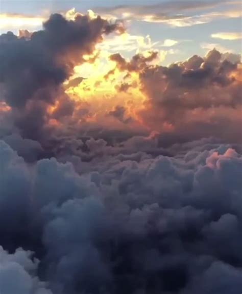 Post [186919189803] And A Pidgey In A Wepear Tumbex