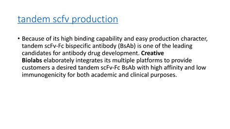 Tandem Scfv Production Ppt