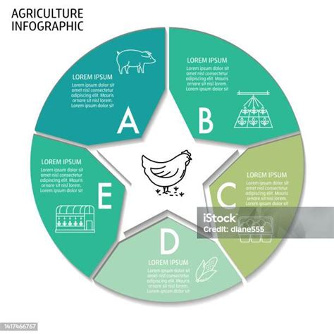 Agriculture Icon Infographic Stock Illustration Download Image Now