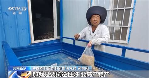 与时间赛跑！这片试验田打响 麦收保卫战”荔枝网新闻