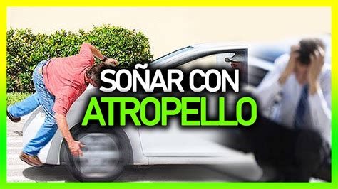 Toda la verdad sobre soñar que atropellan a un gato Qué significa y