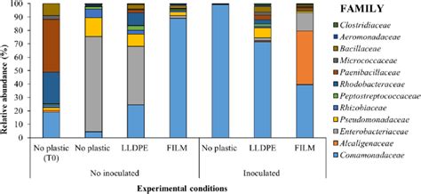 stacked bar plot showing the relative abundance of bacterial asv