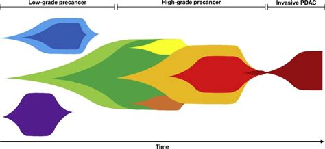 Tumor Evolution Karchin Lab