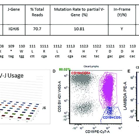 Single Non Productive Igh Rearrangement In A Case With Absent Surface