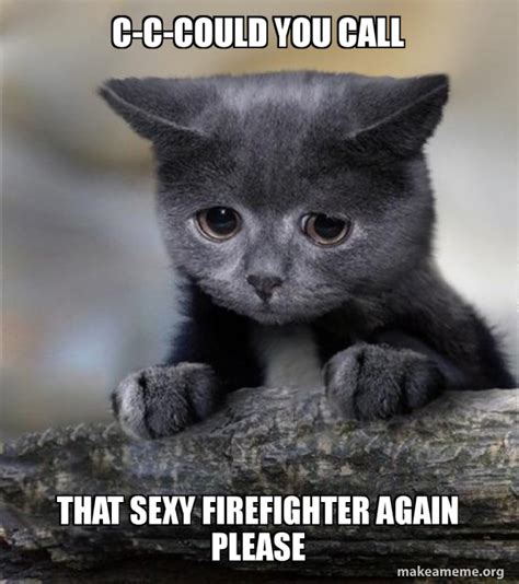 Firefighter Cat Memes